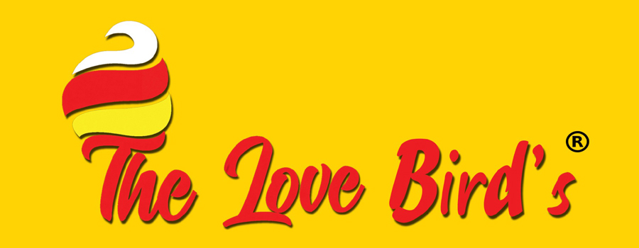 MR. INDIAN CODER, India's Trusted and Famous Website Developer, Best ...